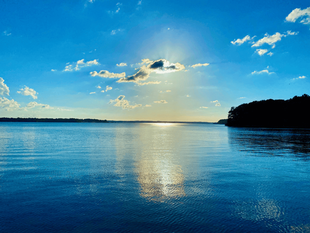Top 7 Things to Do in Tyler, TX This Fall - IDimitrova