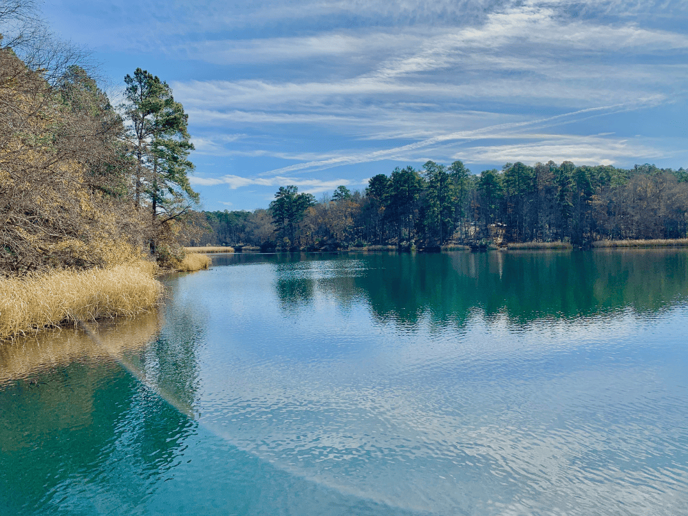 Top 7 Things to Do in Tyler, TX This Fall - IDimitrova